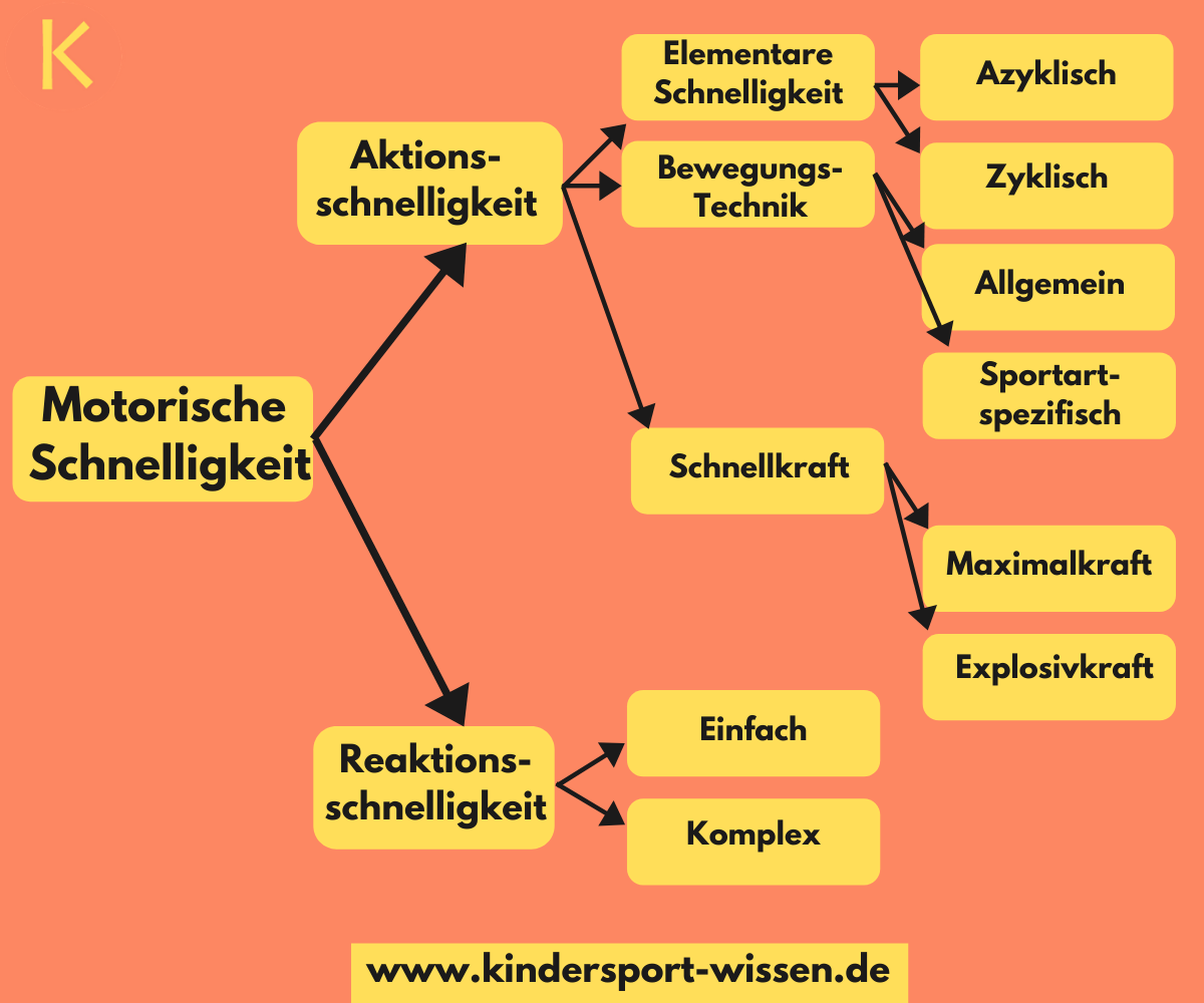Schnelligkeitstraining für Kinder: Der ultimative Guide